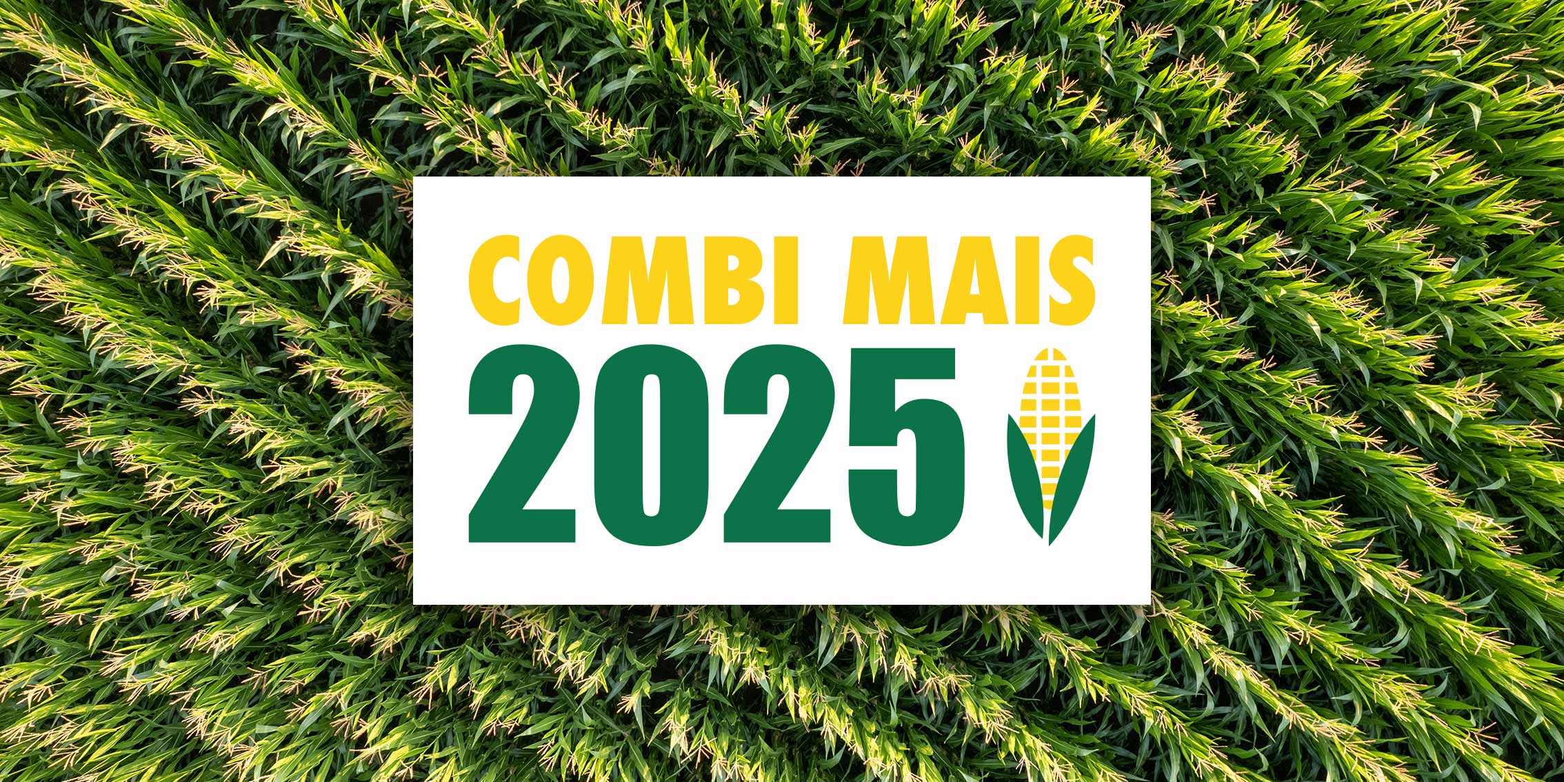 Combi Mais 2025: The Protocol That Is Innovating Italian Maize ...