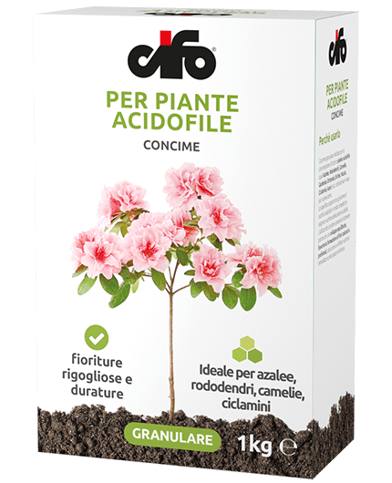 Per piante acidofile: Concime granulare - Cifo